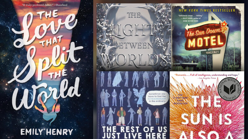 10 Books to Read If You Love The Love That Split the World | Read If ...